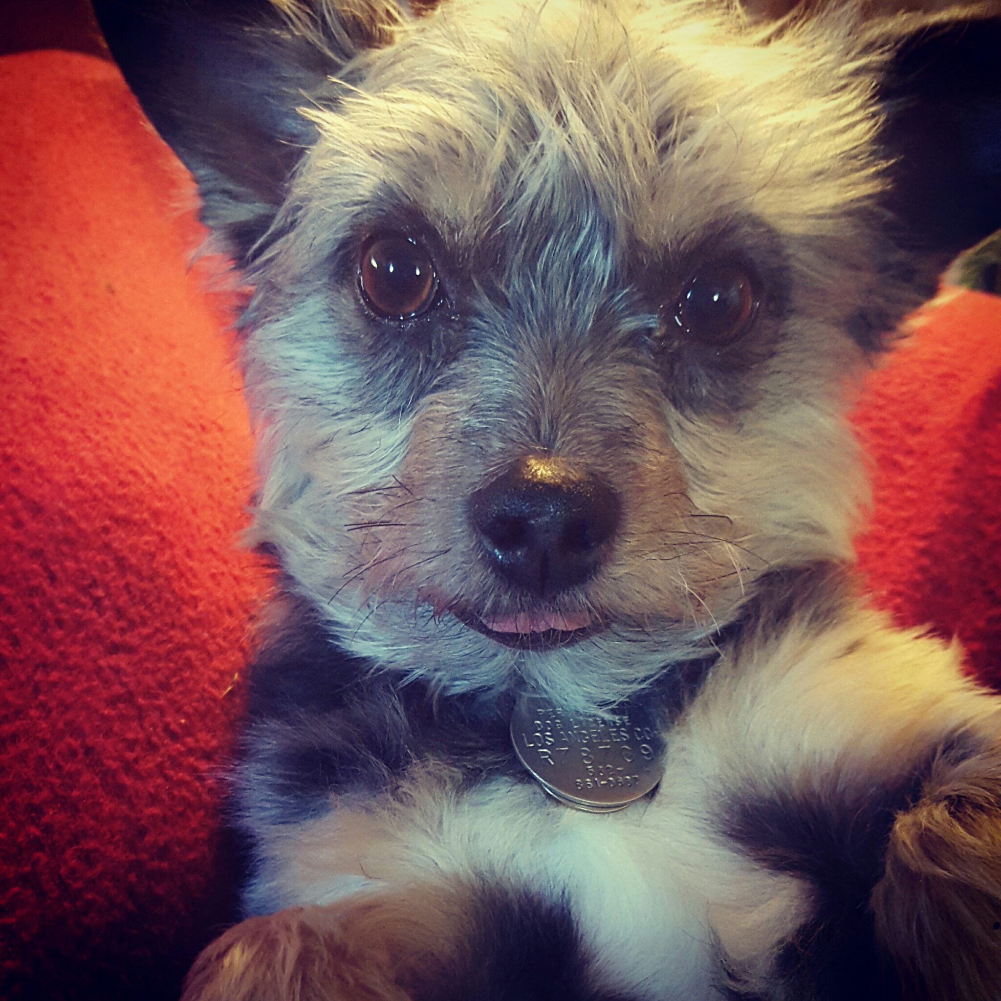 Tribute to God’s Gift to Mankind | Peter Lundell